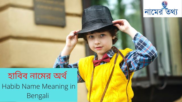 হাবিব নামের অর্থ কি? Habib Name Meaning in Bengali